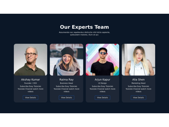 Grid style 8 card team section | EasyFrontend