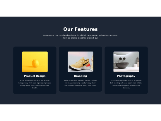 feature items with icons | EasyFrontend